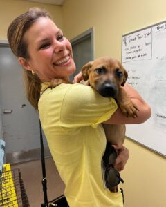 Jamie Little | Wiki/Bio, Age, Net Worth, Career, Husband, Height ...