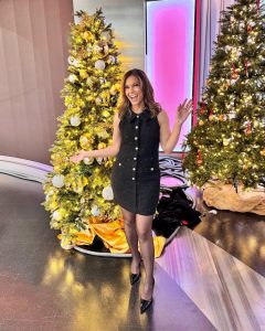 Lisa Boothe Husband, Fox News, Net Worth and Bikini Photos - Profvalue Blog